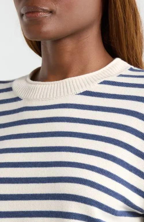 Marine Layer Striped Cotton Rollneck Sweater
