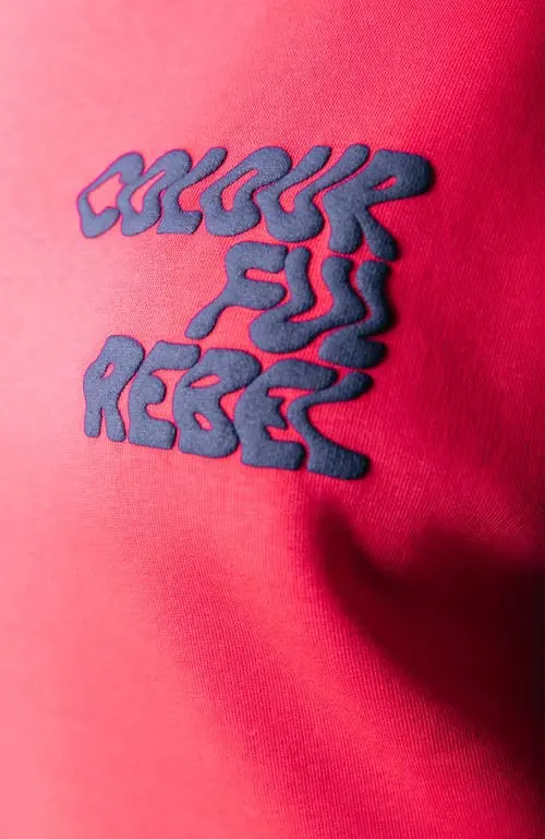 COLOURFUL REBEL Logo Wave Relaxed Sweatshirt - Red