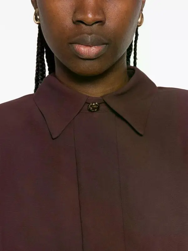 Elisabetta Franchi Georgette Blouse With Sash Belt - Brown