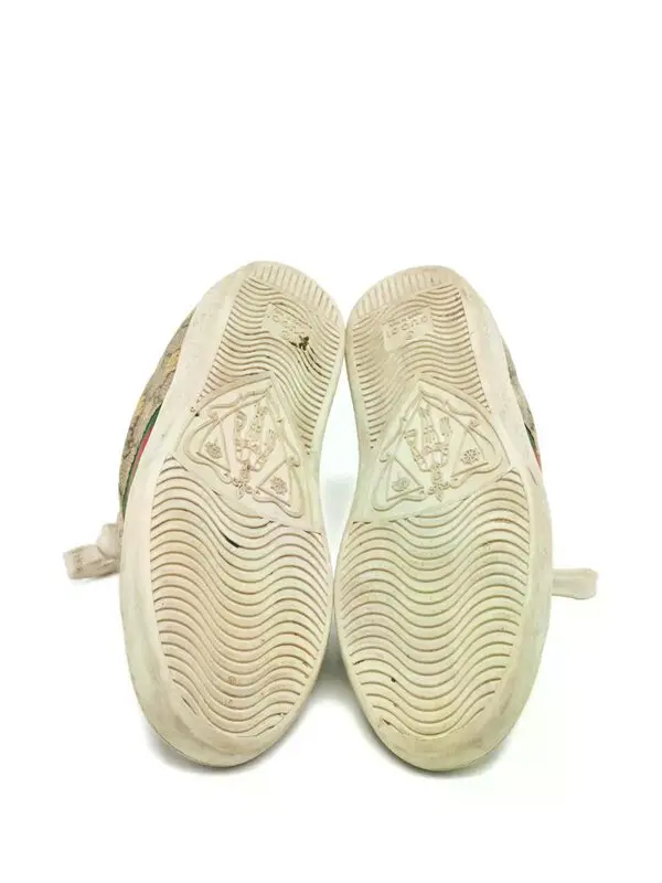 Gucci Signature Web Detailing Sneakers