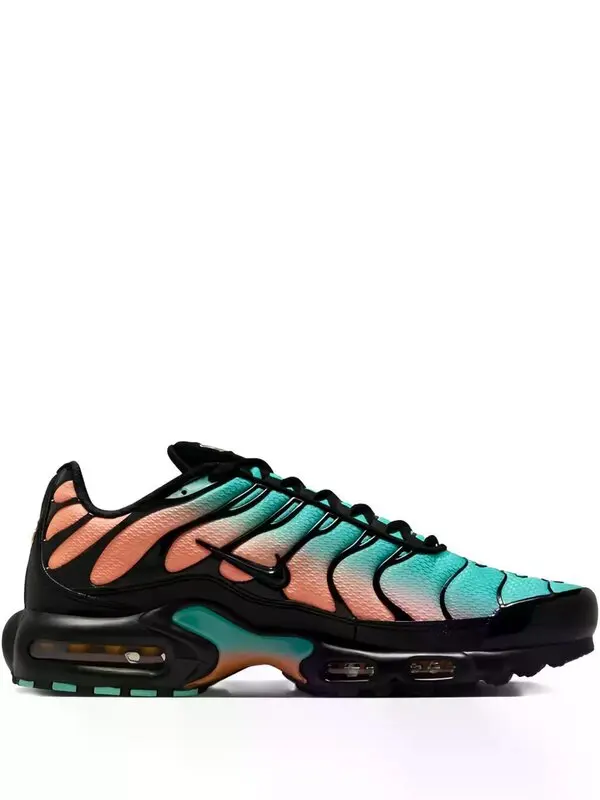 Nike Air Max Plus Sneakers - Black