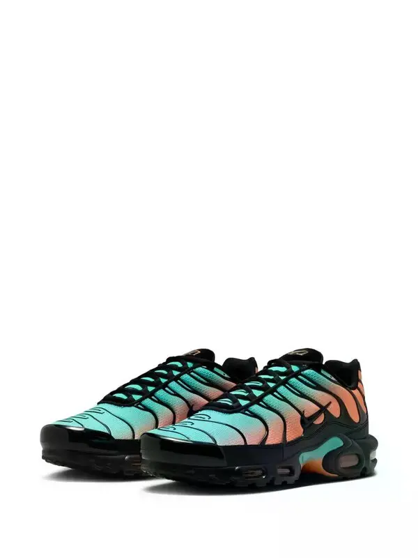 Nike Air Max Plus Sneakers - Black