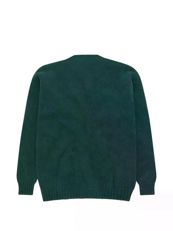 FORTELA Shetland Crewneck Wool Sweater - Green