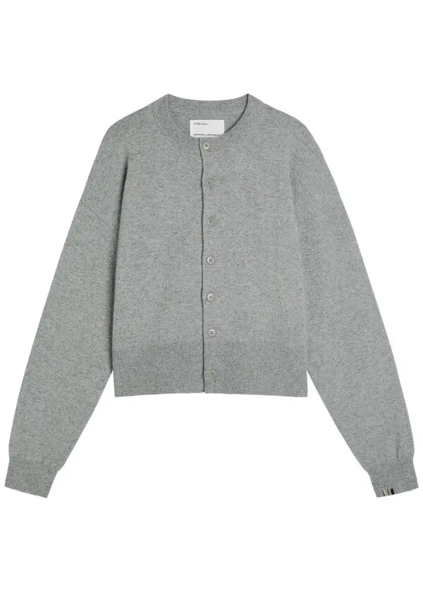 Extreme Cashmere N°170 Chou Cashmere-blend Cardigan