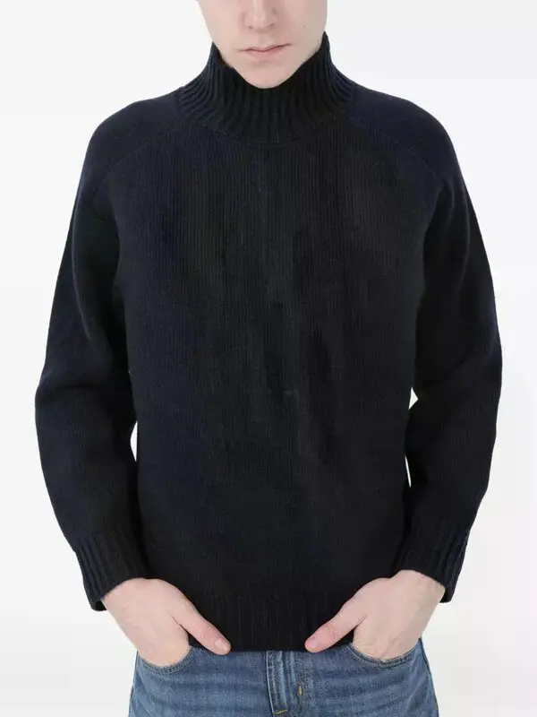 RE_BRANDED Roll-neck Ribbed Knit Sweater