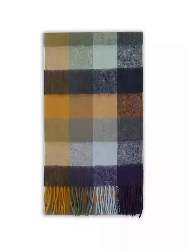 Barbour Fringed Scarf - Green
