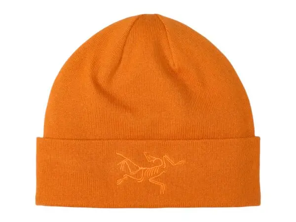 Arc'teryx Embroidered Bird Toque Beanie - Copper Sky Blue/blaze