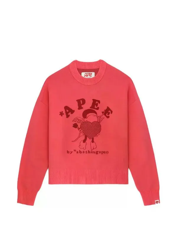 APEE™ BY *A BATHING APE® Graphic Knitted Sweater