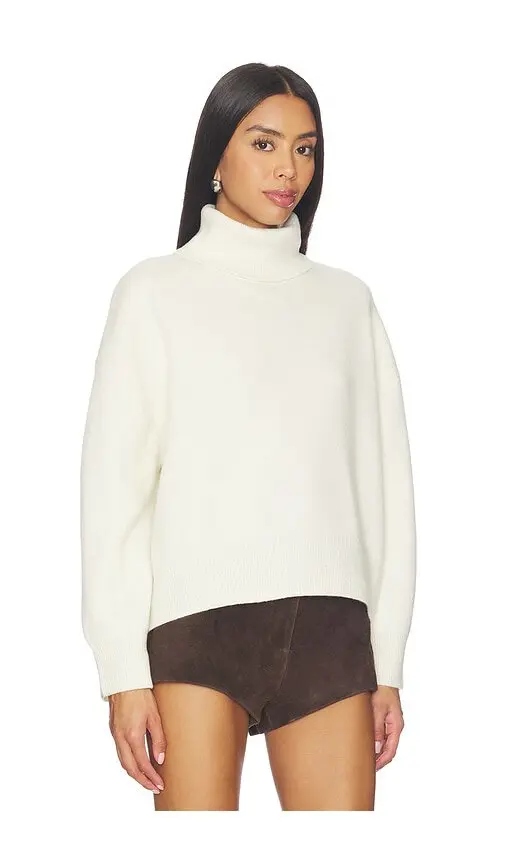 Free People Sigma Turtleneck