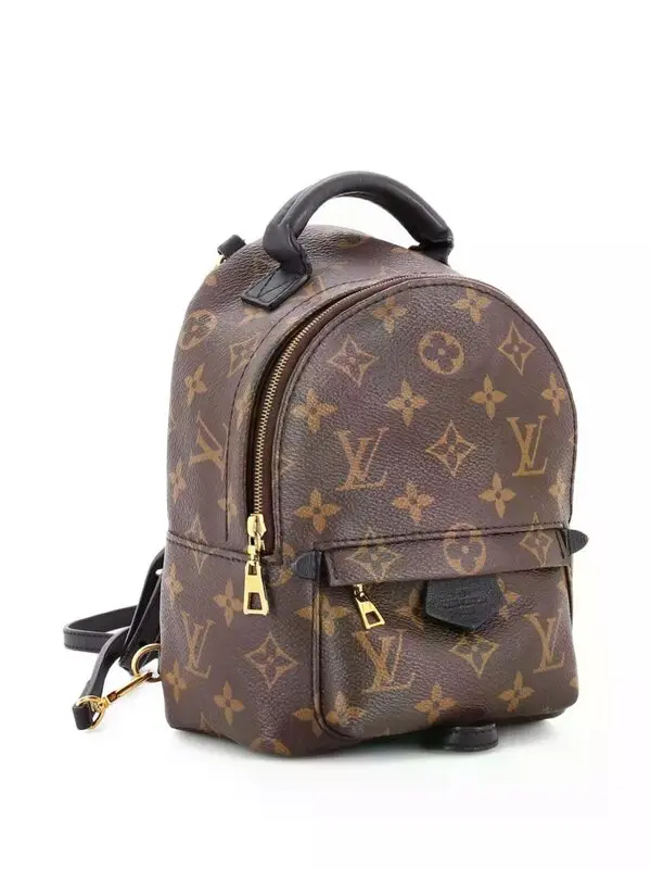 LOUIS VUITTON Palm Springs Monogram Canvas Mini Backpack
