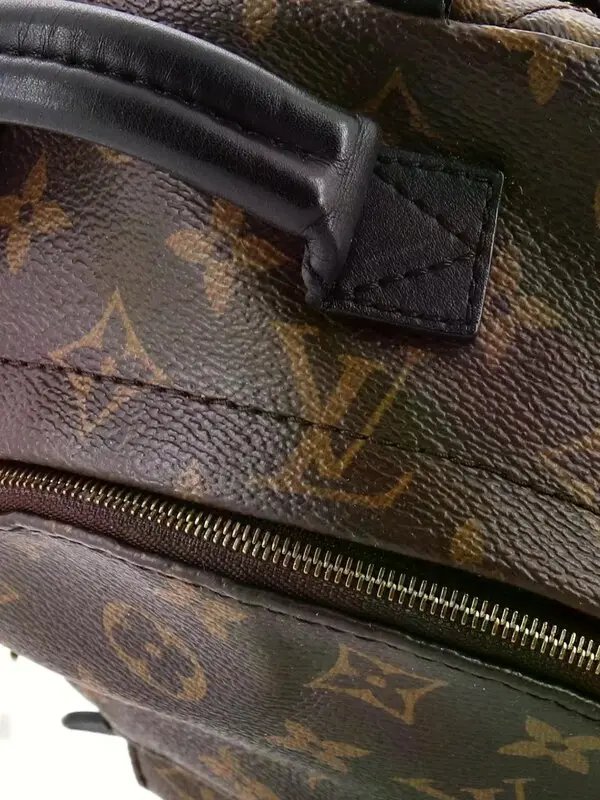LOUIS VUITTON Palm Springs Monogram Canvas Mini Backpack