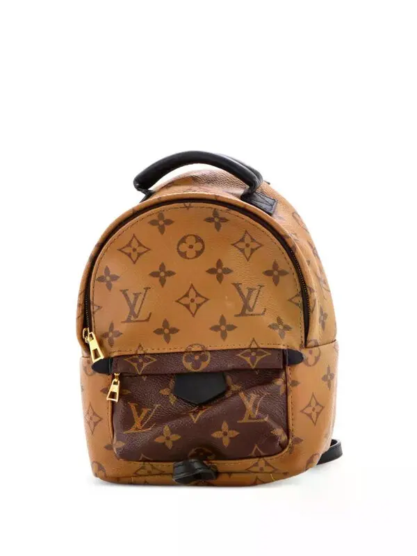 LOUIS VUITTON Palm Springs Mini Backpack - Brown