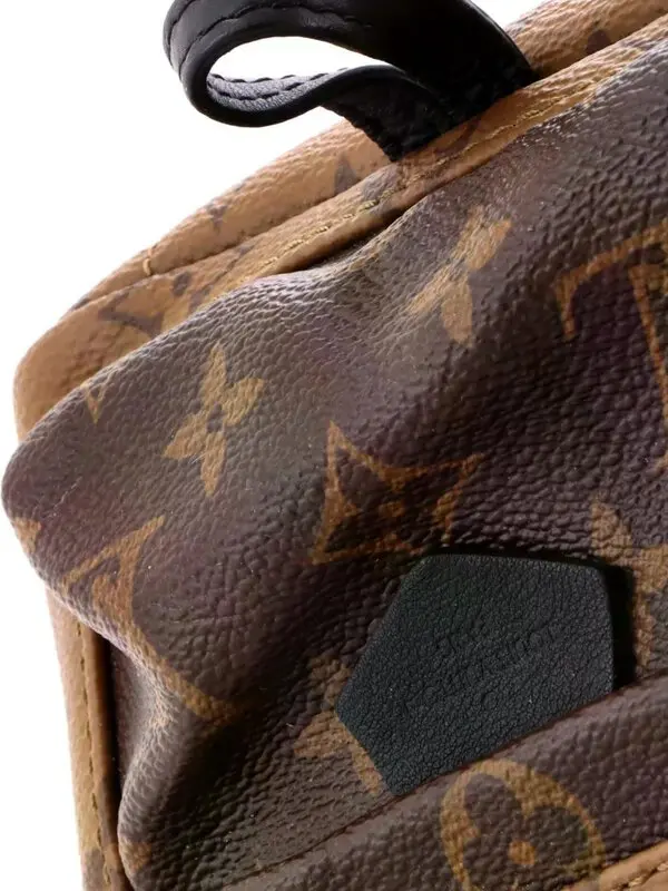 LOUIS VUITTON Palm Springs Mini Backpack - Brown