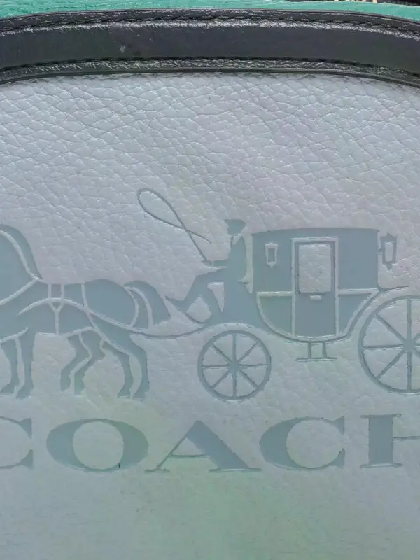 COACH Mini Cross Body Bag - Green