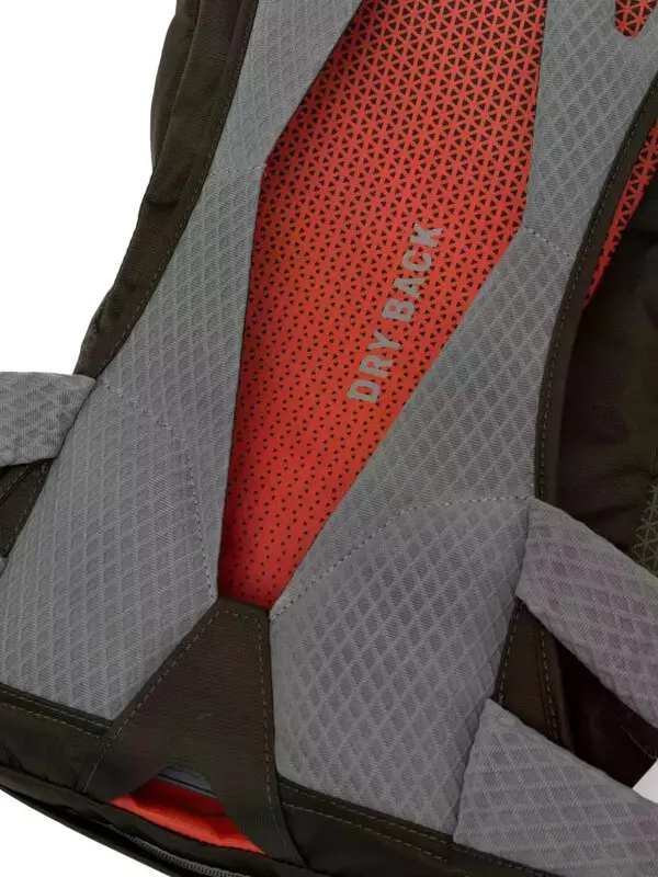 SALEWA Webbing Backpack