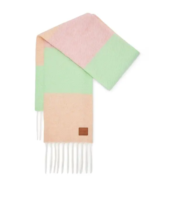 Loewe Brushed Alpaca-wool Stripe Fringe Scarf - Pink