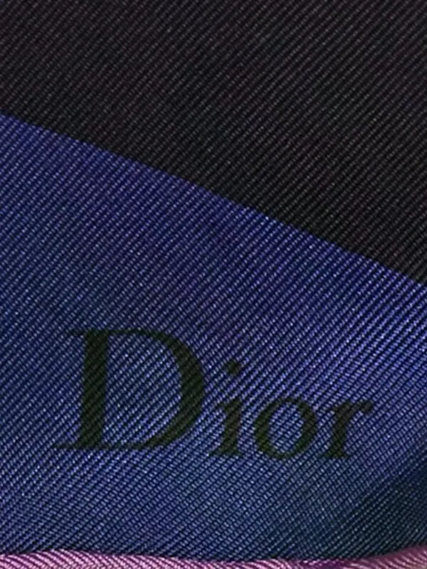 Dior Printed Scarf