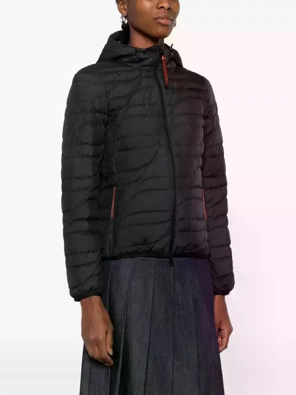 Moncler Hooded Jacket