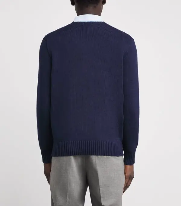 Rlx Ralph Lauren Cotton-blend Polo Bear Sweater