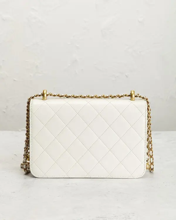 Chanel Shiny Calfskin Mini 22 Hobo Bag