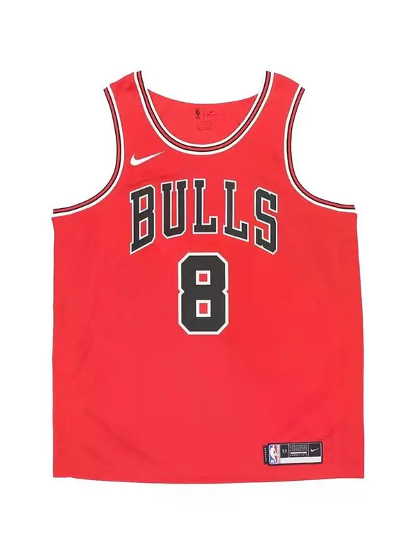Nike Chicago Bulls Zach Lavine Icon Edition Vest