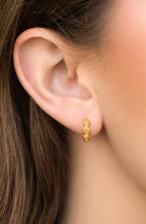 GIRLS CREW Dolce Vita Rose Huggie Hoop Earrings