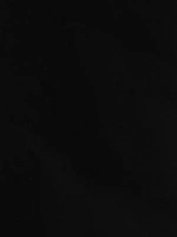Canali Fringed Scarf - Black