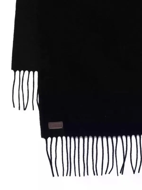 Canali Fringed Scarf - Black