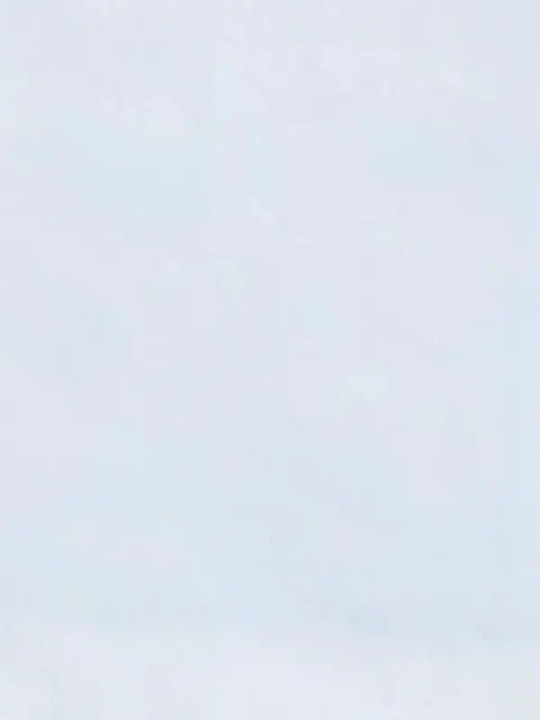 Fabiana Filippi Fringed Scarf - White