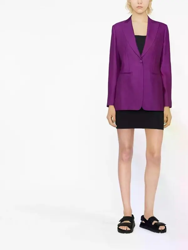 Max Mara Single-breasted Virgin Wool-blend Blazer