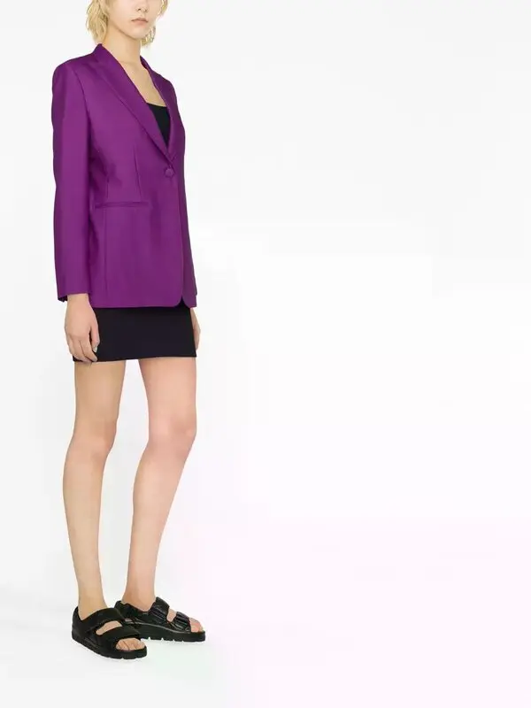 Max Mara Single-breasted Virgin Wool-blend Blazer
