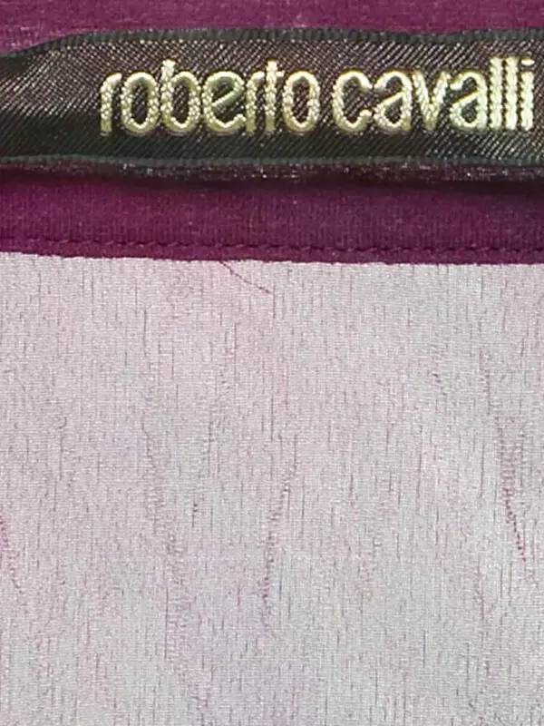 Roberto Cavalli V-neck Silk Blouse