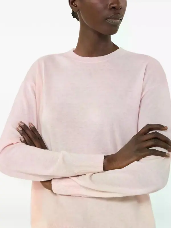 Max Mara Wkdvento Crew-neck Sweater