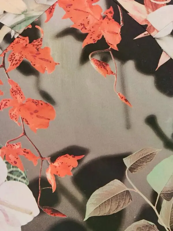 Roberto Cavalli Floral-print V-neck Top