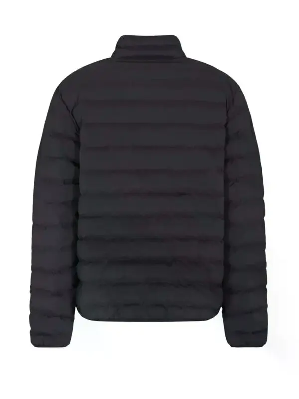 EA7 Padded Jacket
