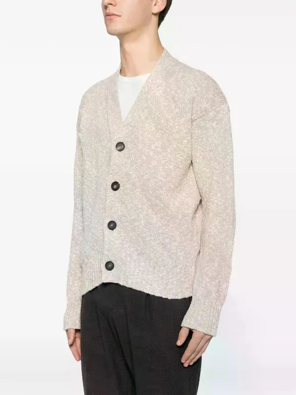 Tagliatore Buttoned V-neck Cardigan