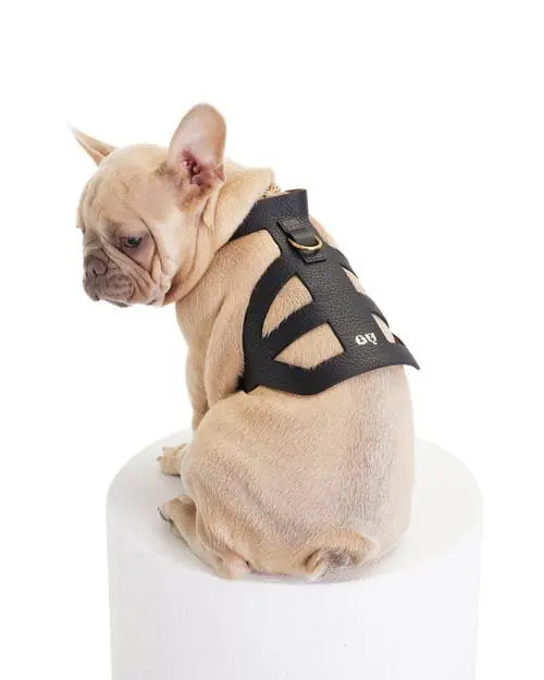 MOSHIQA Pierre Leather Dog Harness