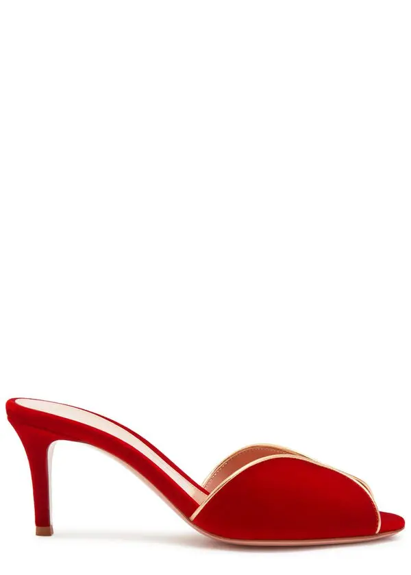 GIANVITO ROSSI Metallic-trim Velvet Mules