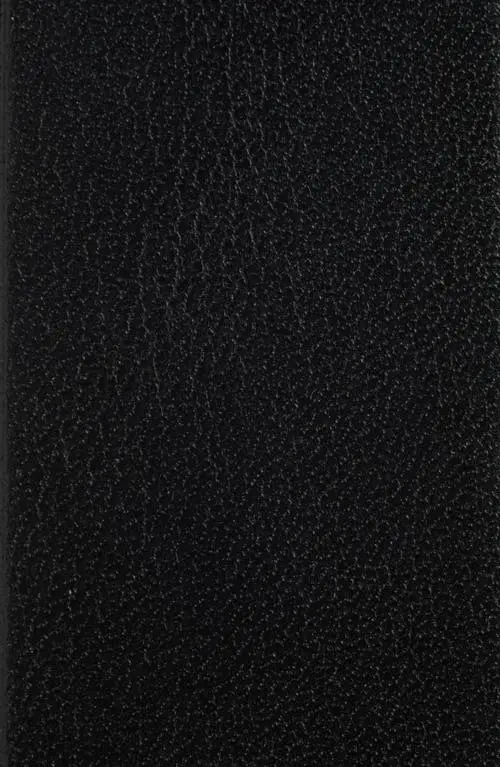 Saint Laurent Buckle Leather Belt - Black