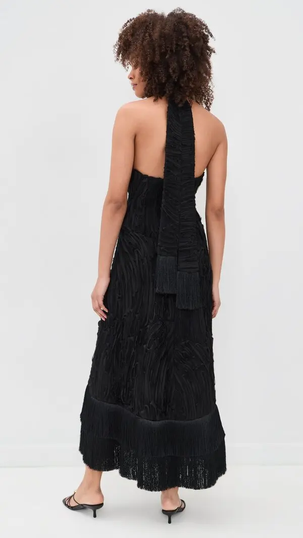 Alexis Ambrosio Halterneck Maxi Dress With Fringe Trim