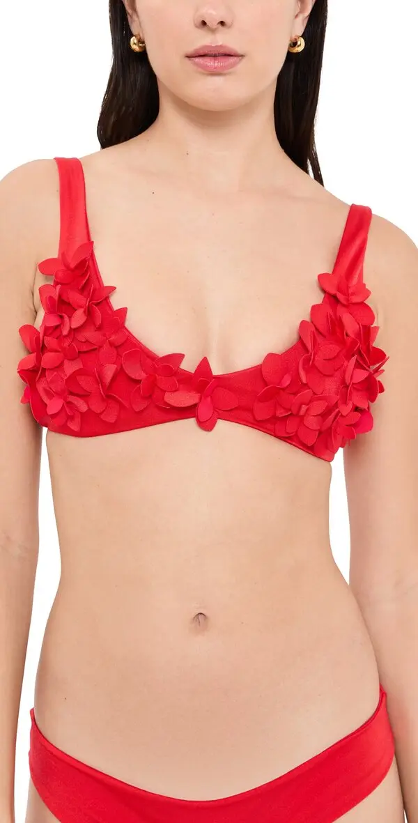 ANCORA Aula Bikini Top - Red