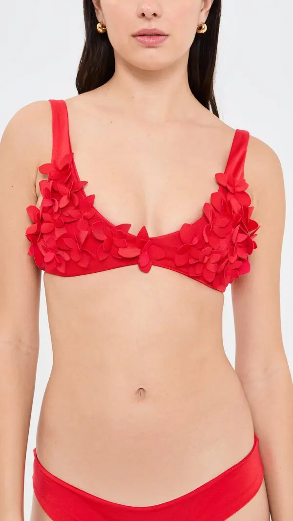 ANCORA Aula Bikini Top