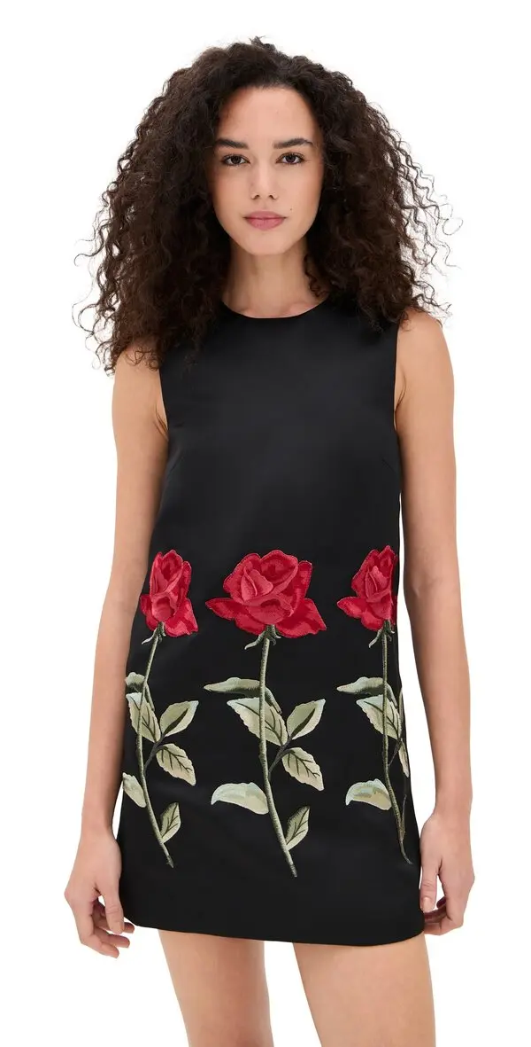 LEO LIN Yvonne Embroidered Mini Dress