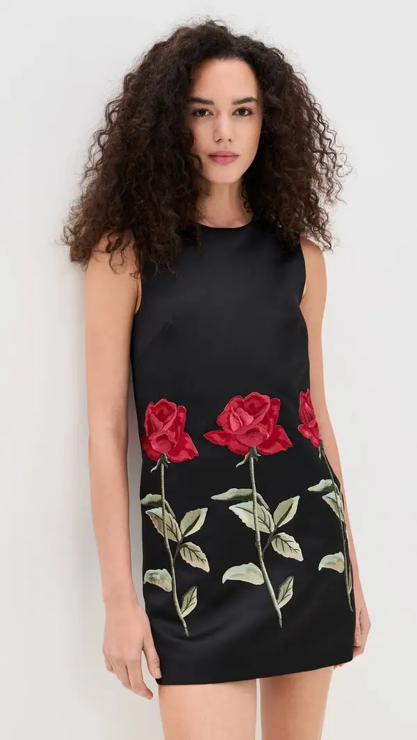 Leo Lin Women's Yvonne Embroidered Mini Dress - Black - Size 14 AUS/ 10 US - Ebony