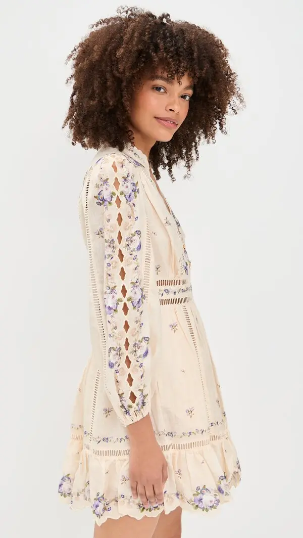 Zimmermann Patience Plunge Mini Dress