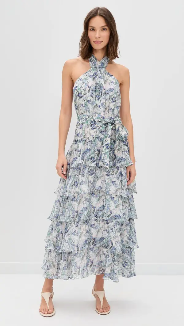 Astr The Label Adamaris Floral Maxi Dress