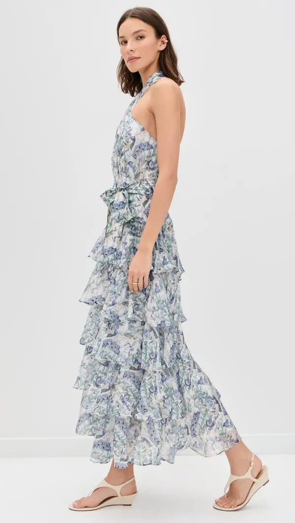 Astr The Label Adamaris Floral Maxi Dress