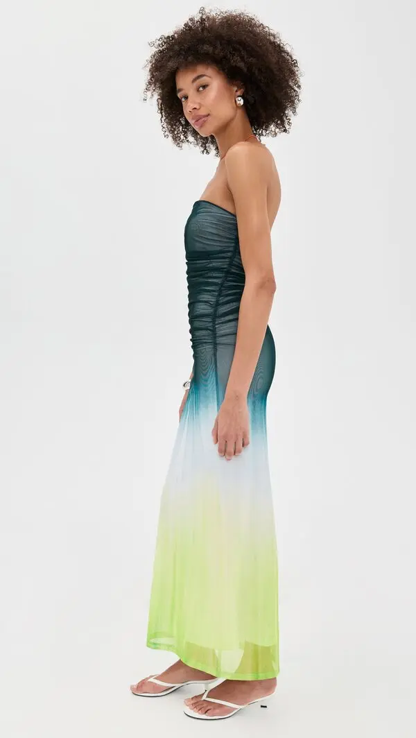 Significant Other Sura Strapless Maxi Dress