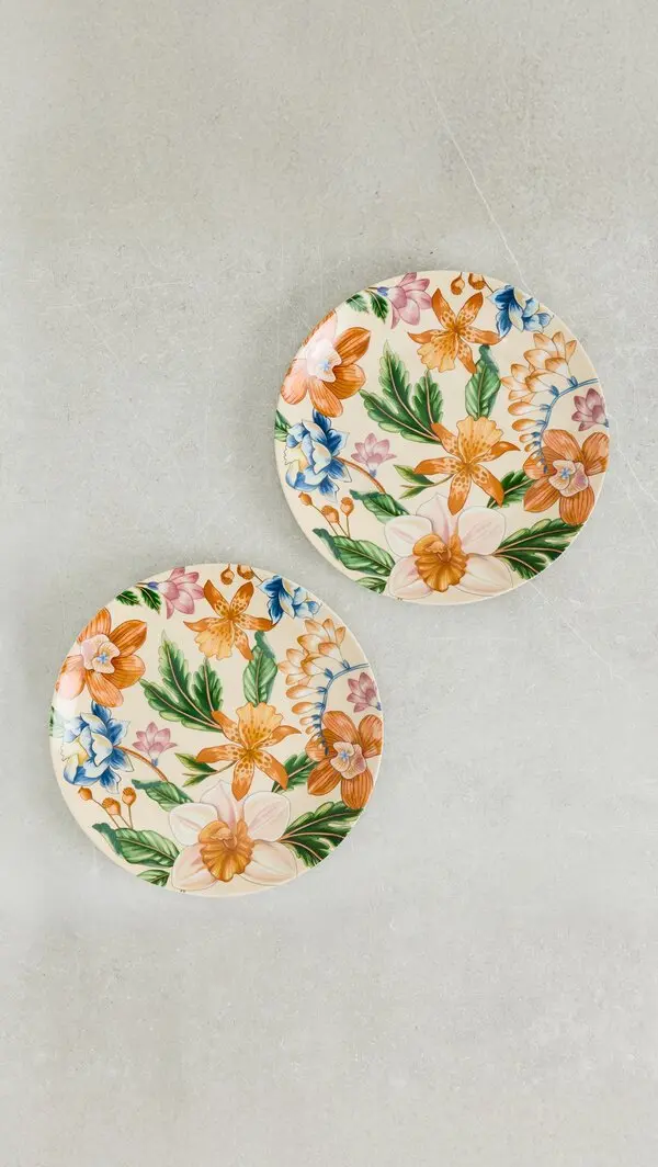 Farm Rio Dinner Plates