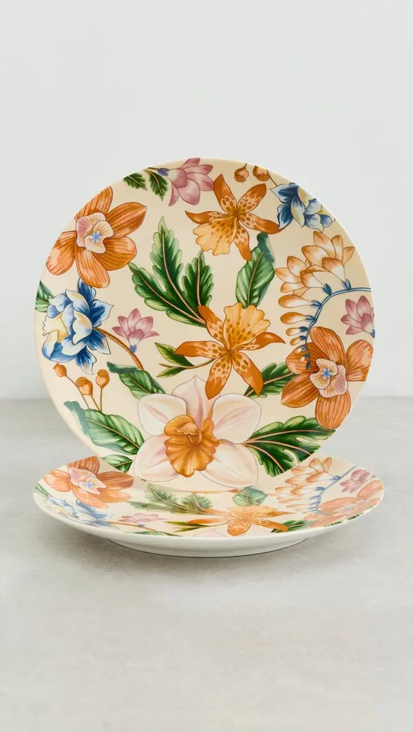 Farm Rio Dinner Plates - Thumbnail 3